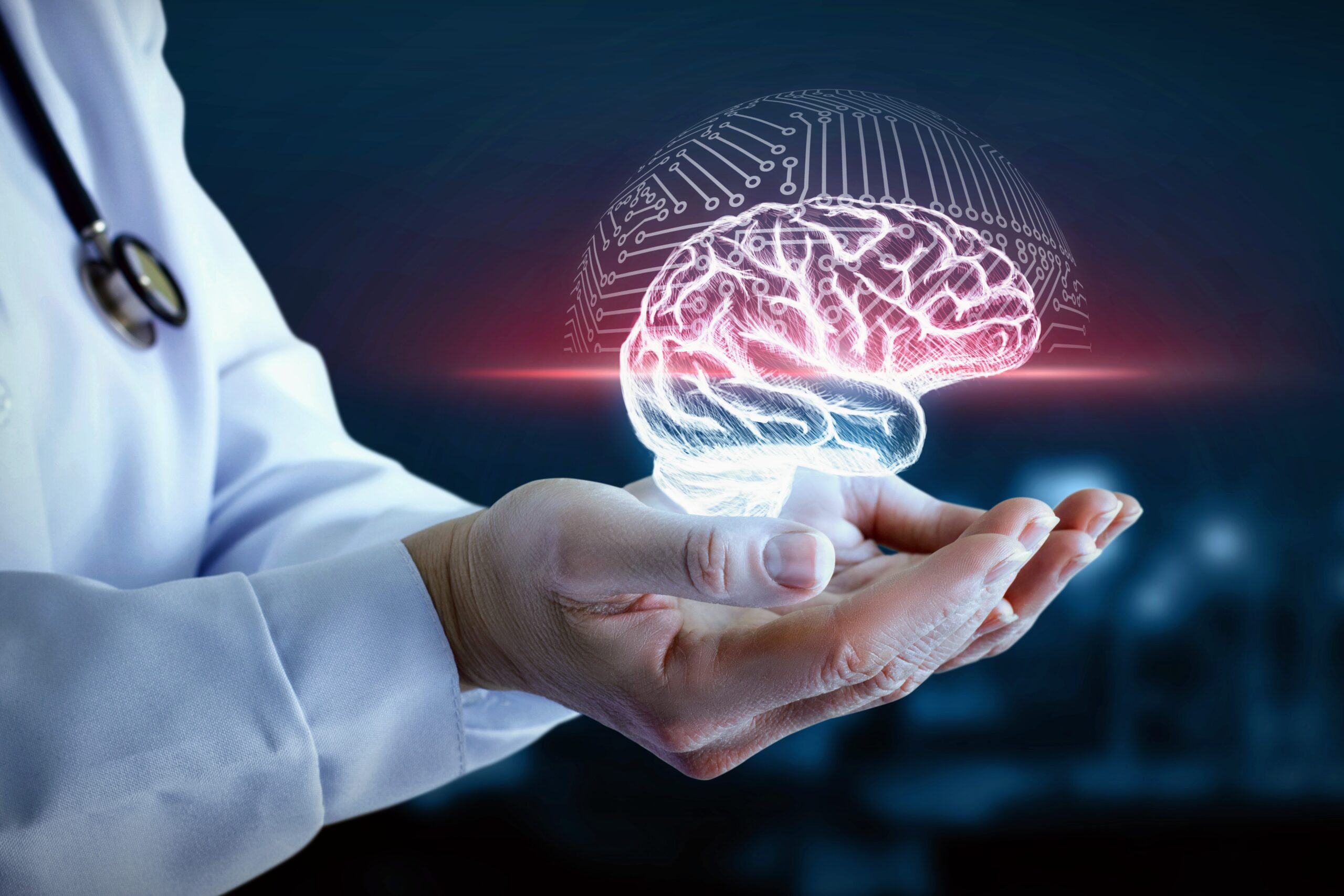 How does the brain identify rewards and punishments? - Earth.com