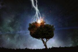 Lightning strike creates a material seen for the first time on Earth ...