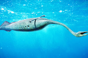 What is a Tully monster and why should we care? • Earth.com