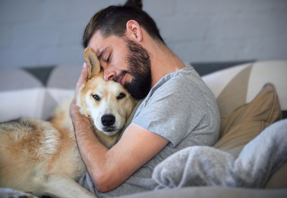 Pets and owners had complex relationships during the pandemic - Earth.com