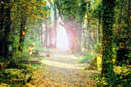 Millions of near-death experiences validated by new study • Earth.com