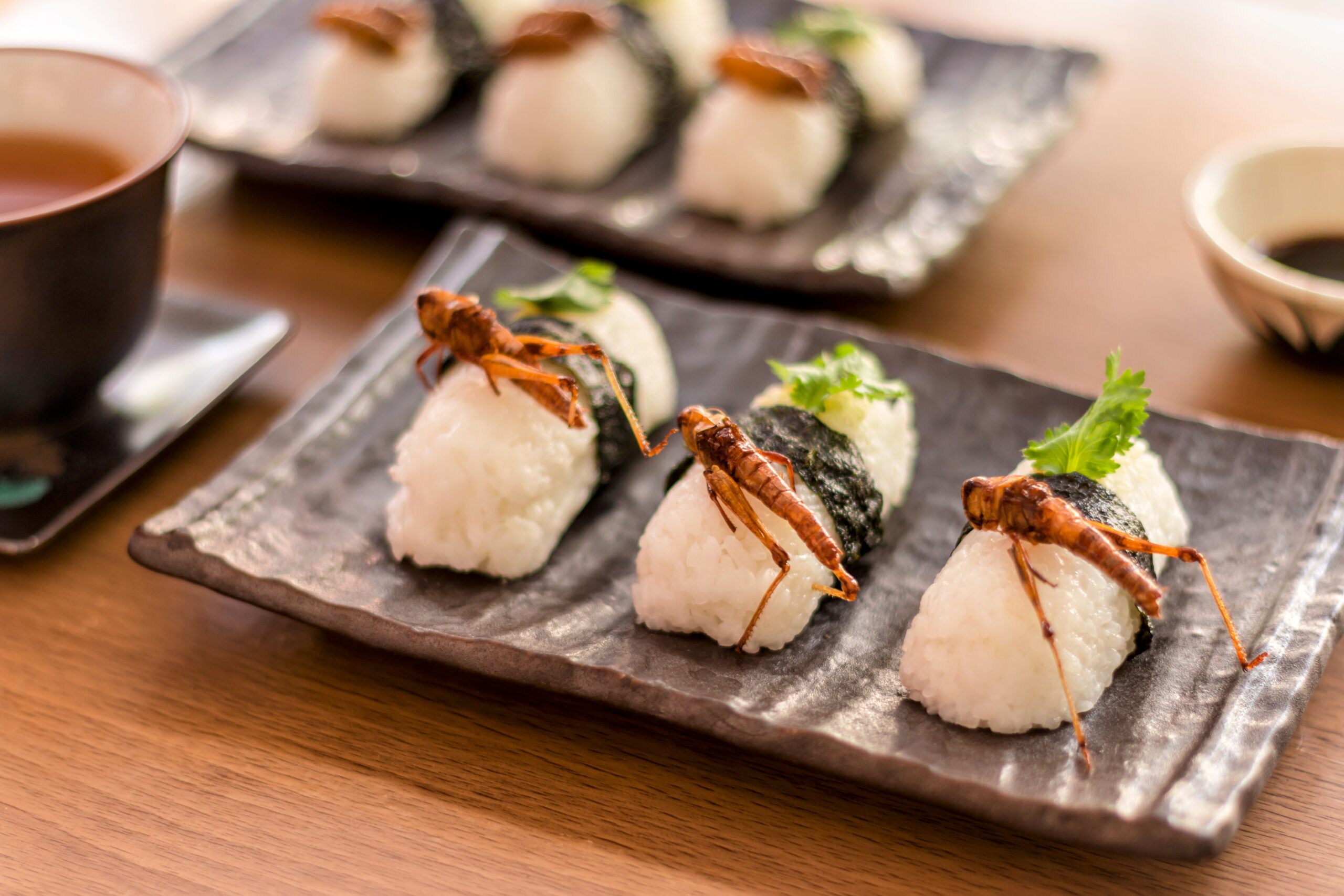 Edible insects could benefit individual and global health - Earth.com