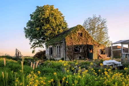 How does land abandonment affect biodiversity? • Earth.com