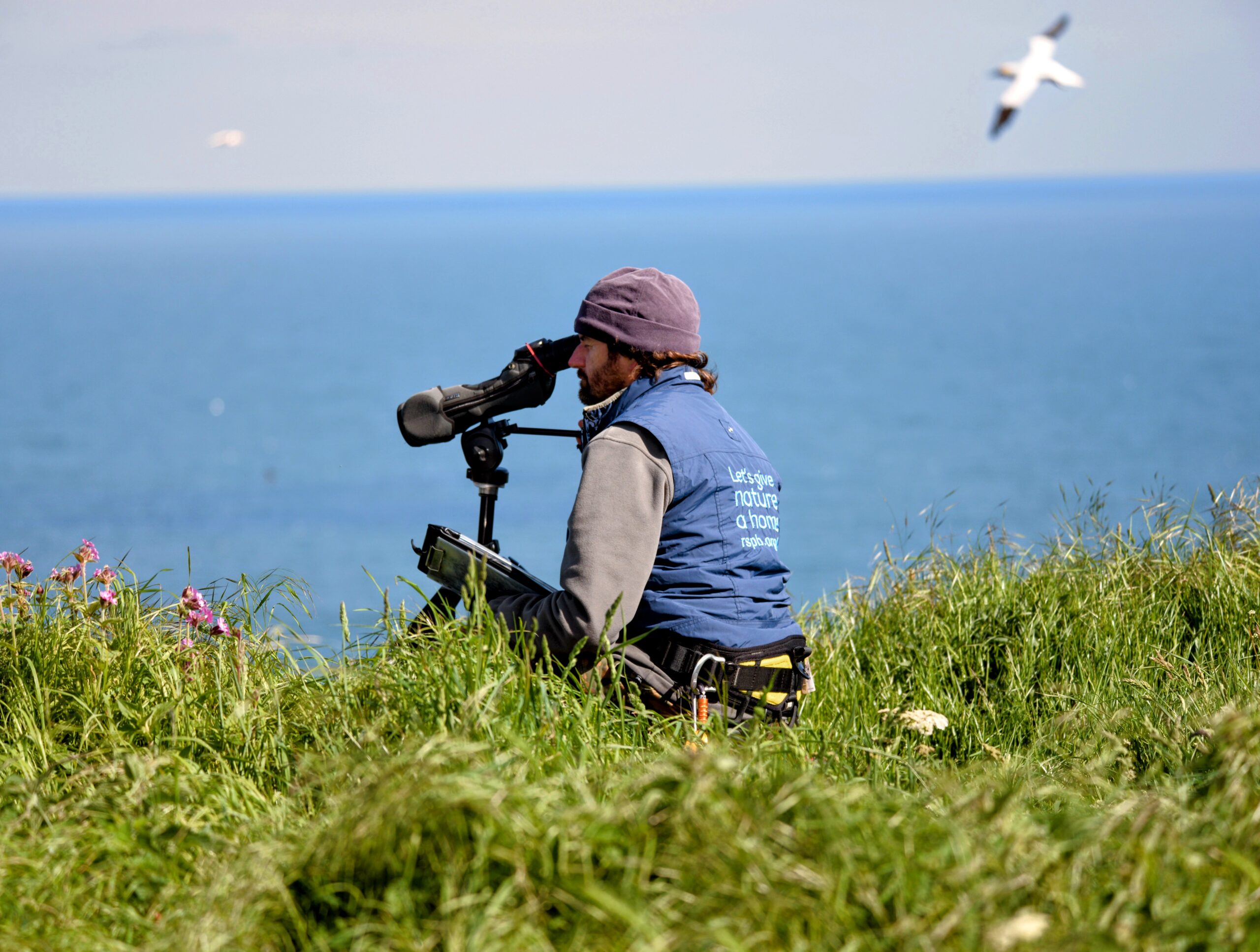 Small scale wildlife surveys can reveal the health of entire ecosystems ...