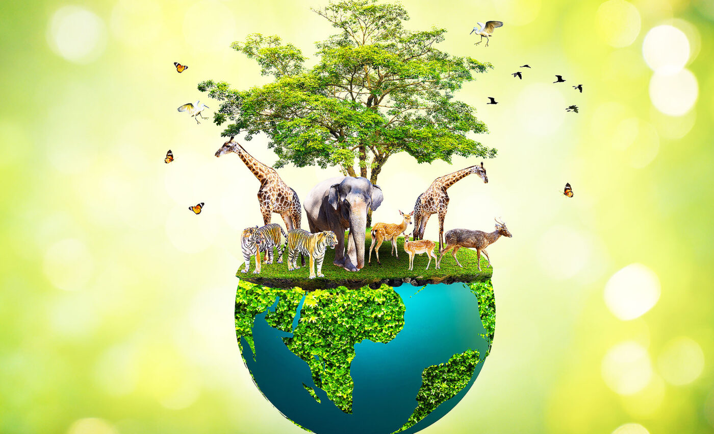 Why Is It Good To Protect Endangered Species - Infoupdate.org