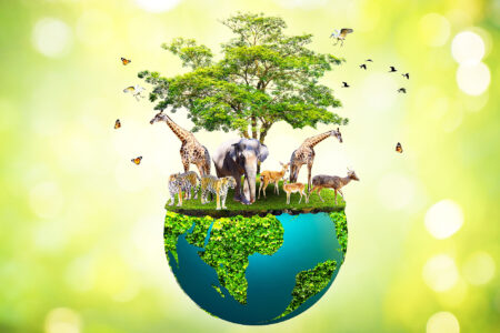 Endangered Species Day: Millions of species share the Earth with humans ...