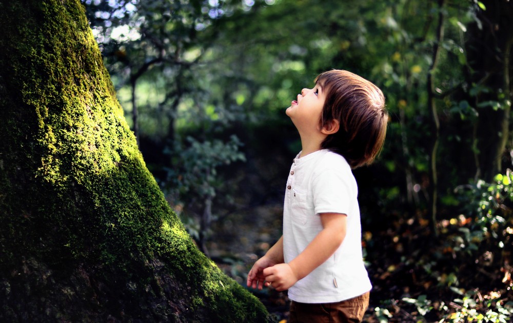 Are children more curious than apes? Yes, and no, finds new study ...