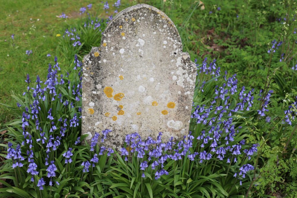 Homo naledi may have been the first to bury their dead 200,000 years ...