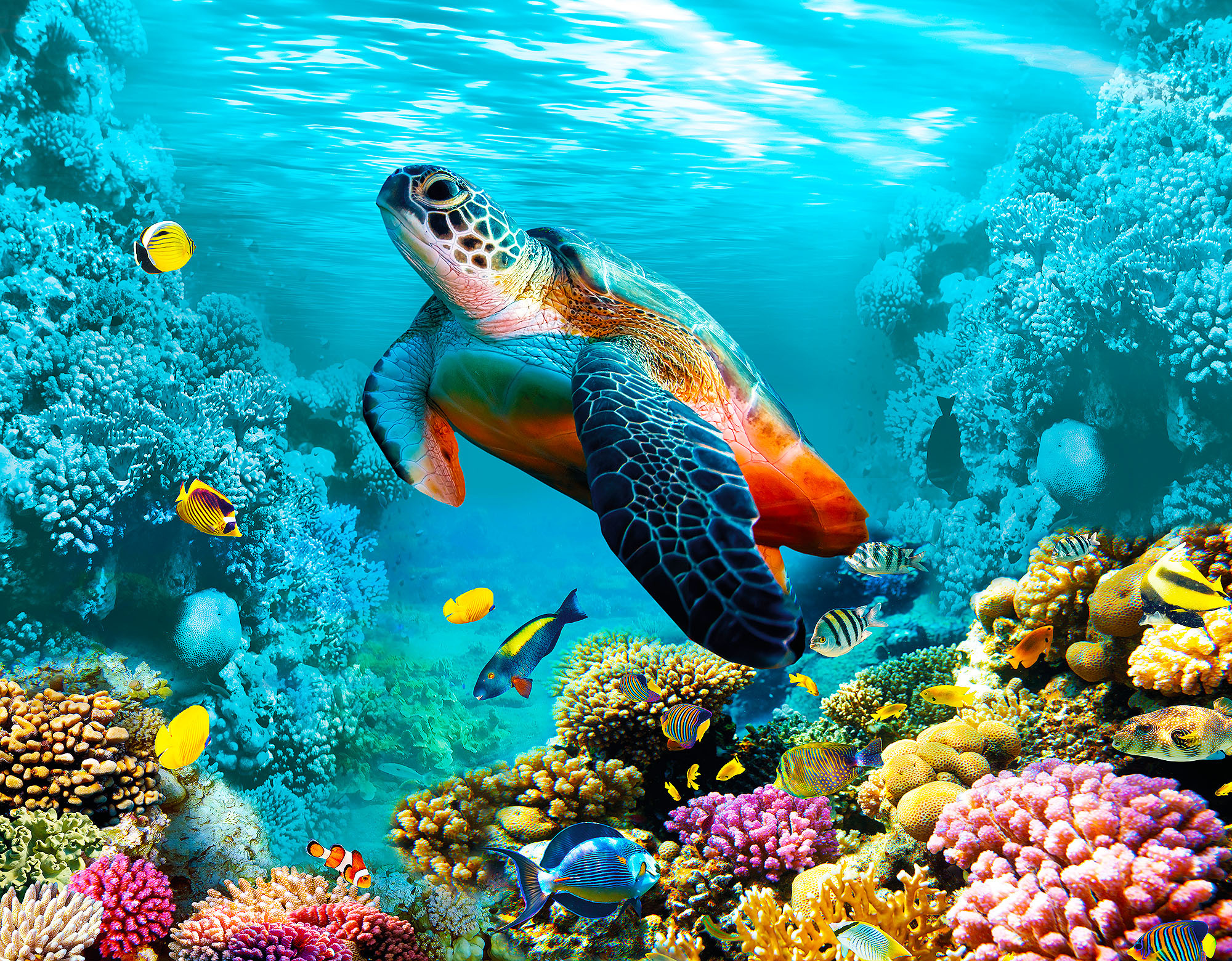 World Sea Turtle Day A Tribute To Resilience And Conservation Earth