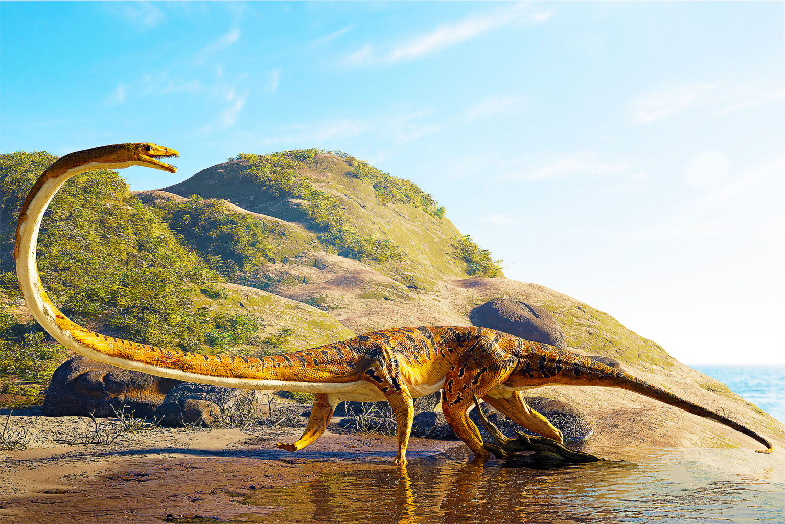 Long-necked reptiles, Tanystropheus, were easily decapitated by ...