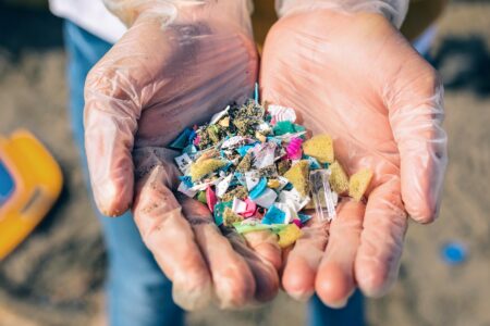 Humans inhale the equivalent of a credit card in microplastics each ...