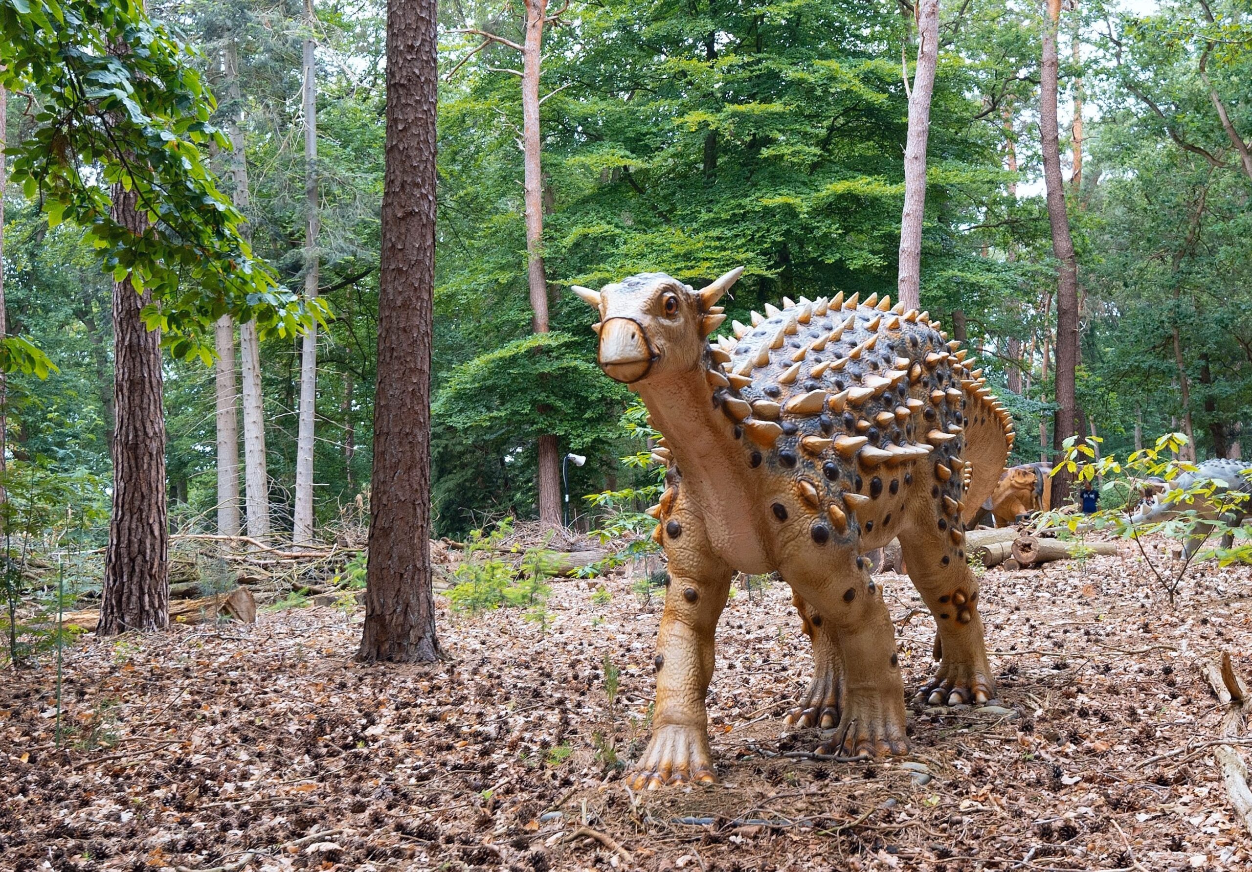 New species of ankylosaur discovered on the Isle of Wight - Earth.com