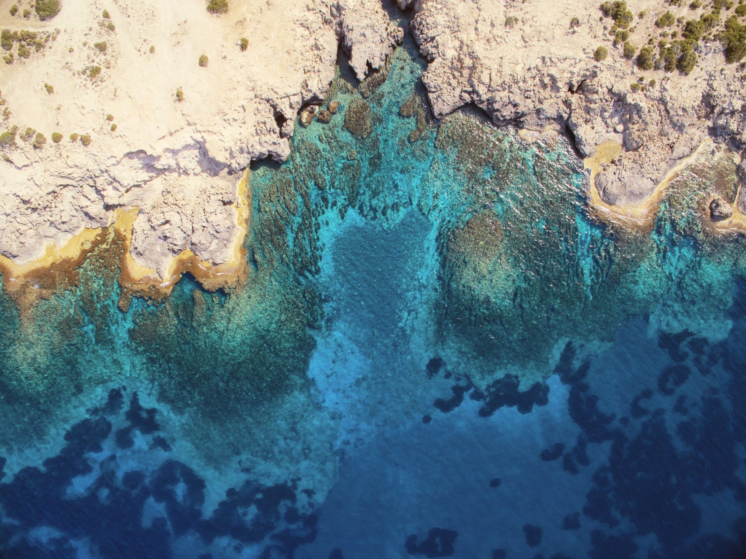 Historic treaty adopted to protect biodiversity in the high seas ...