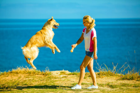 Some dog breeds are better at learning by observing humans than others ...