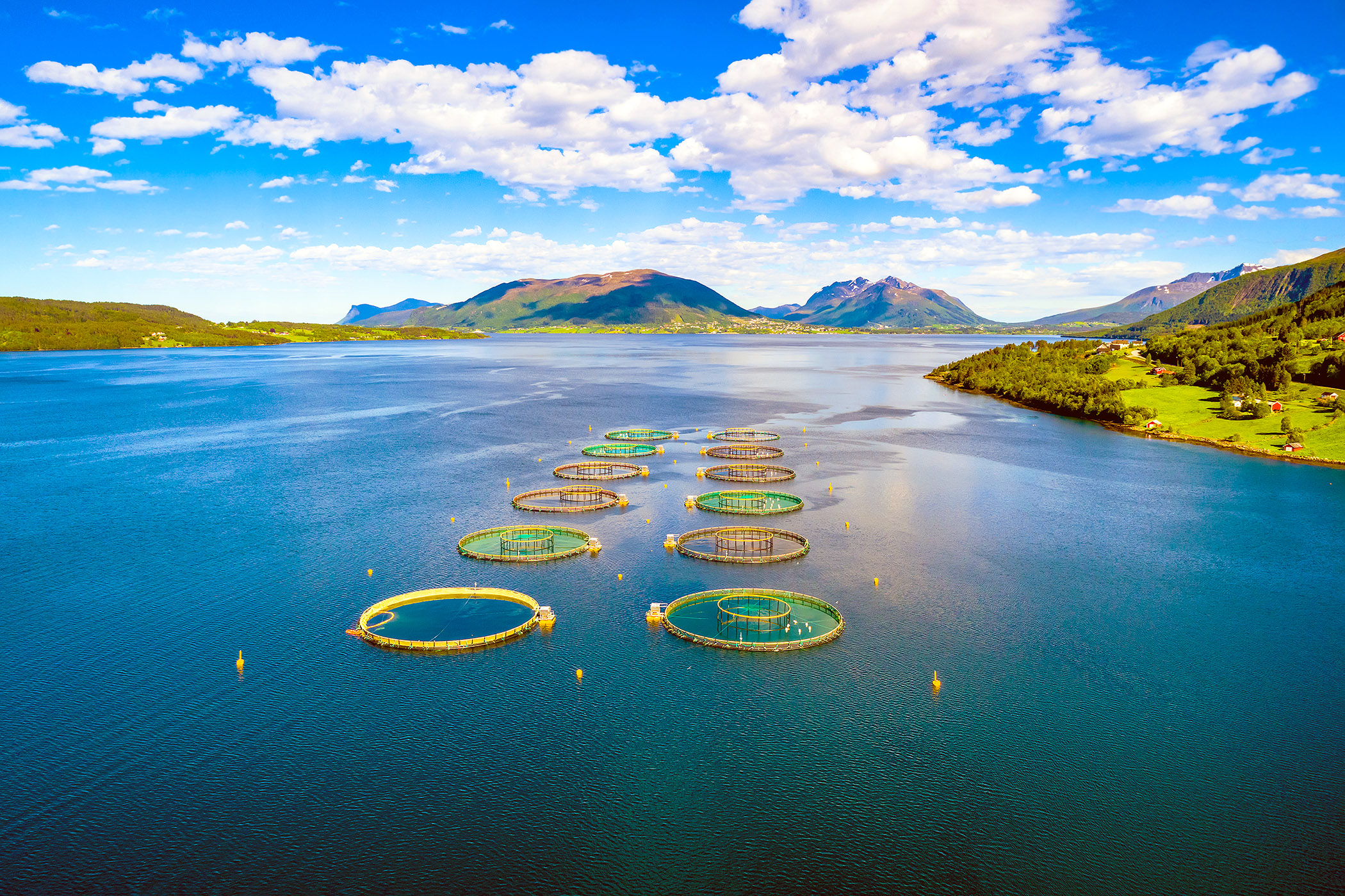 90% of the world’s aquaculture faces substantial risk from human ...