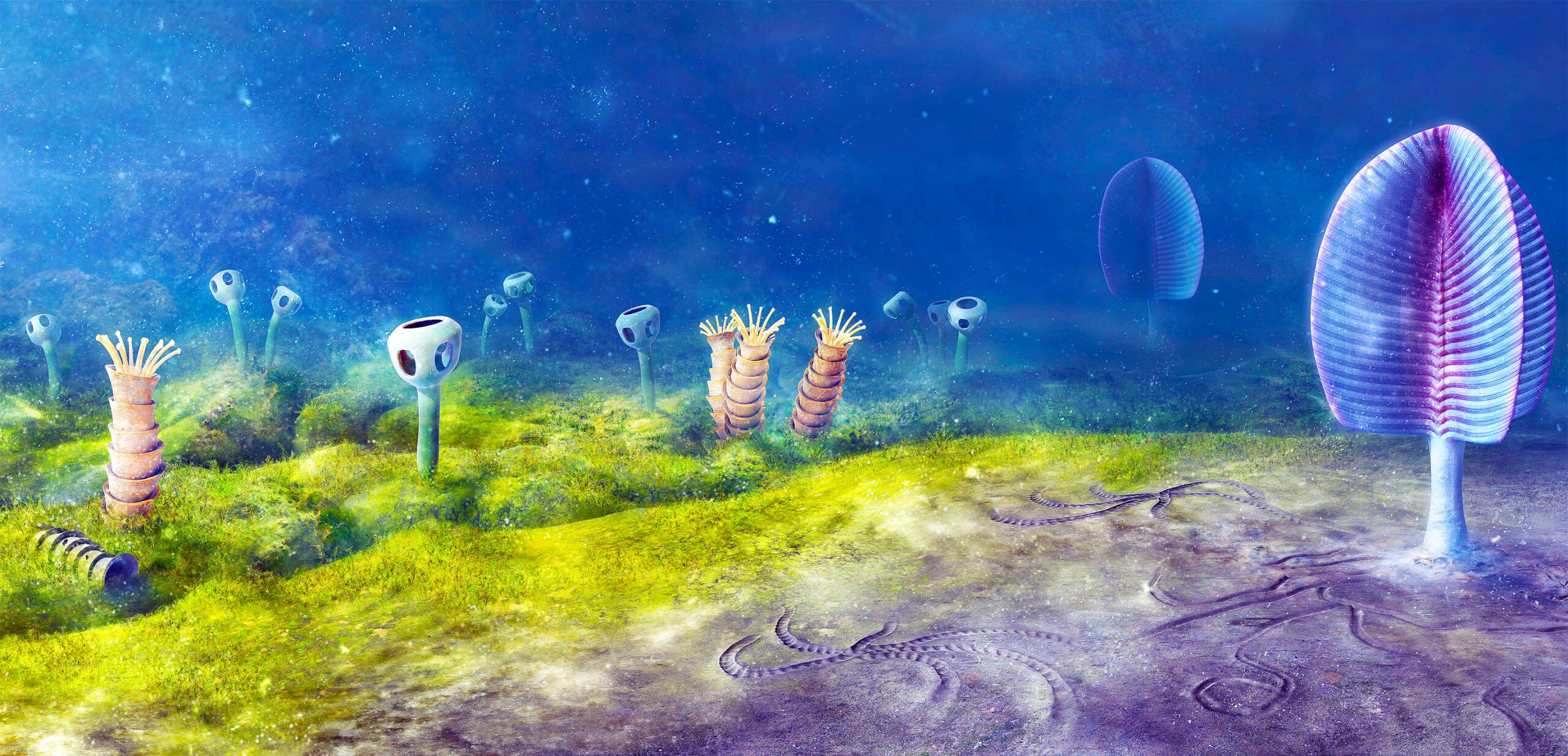 When Did The First Animals Appear On Earth We Are Now One Step Closer 