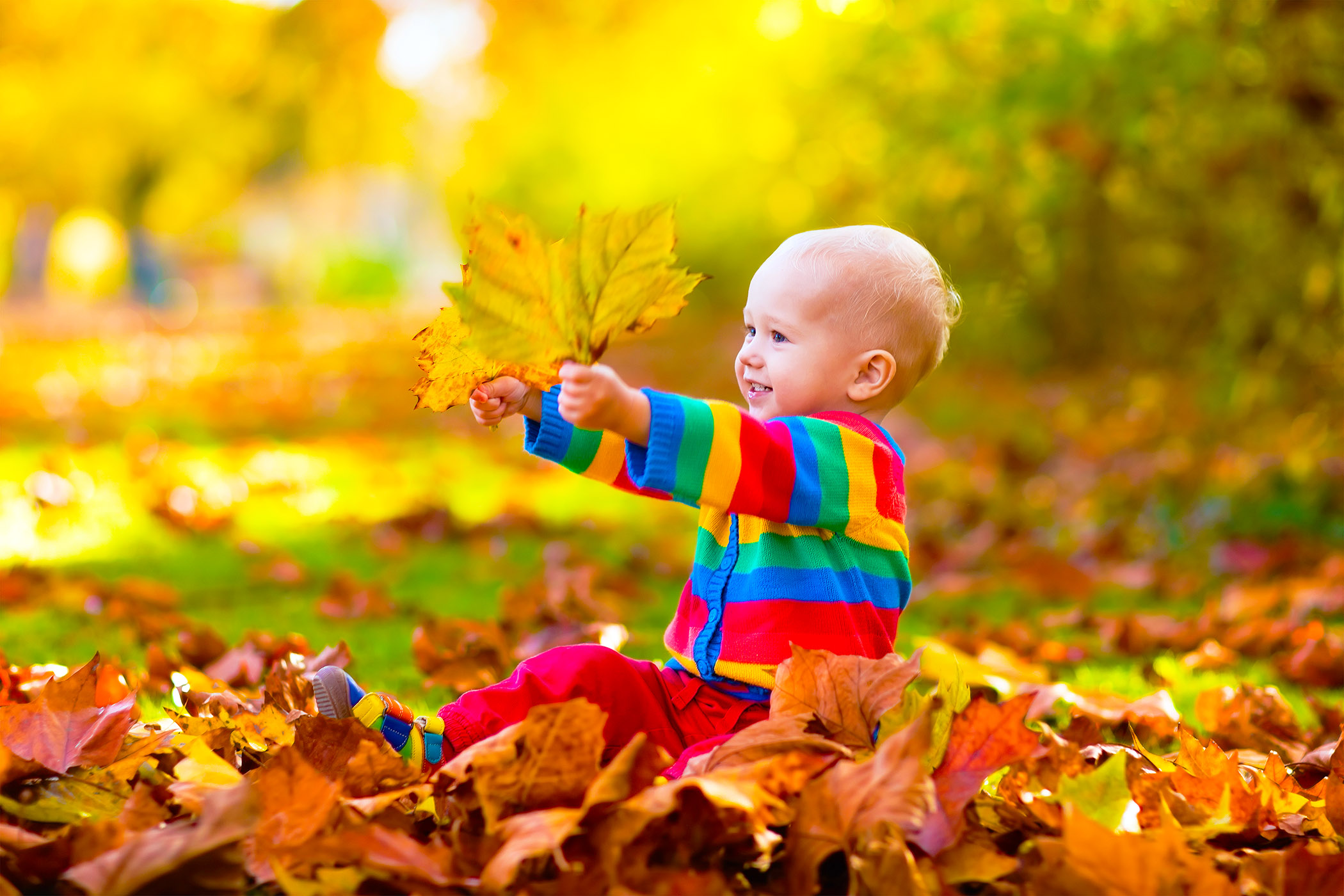 Babies talk more when interacting with artificial objects than with ...