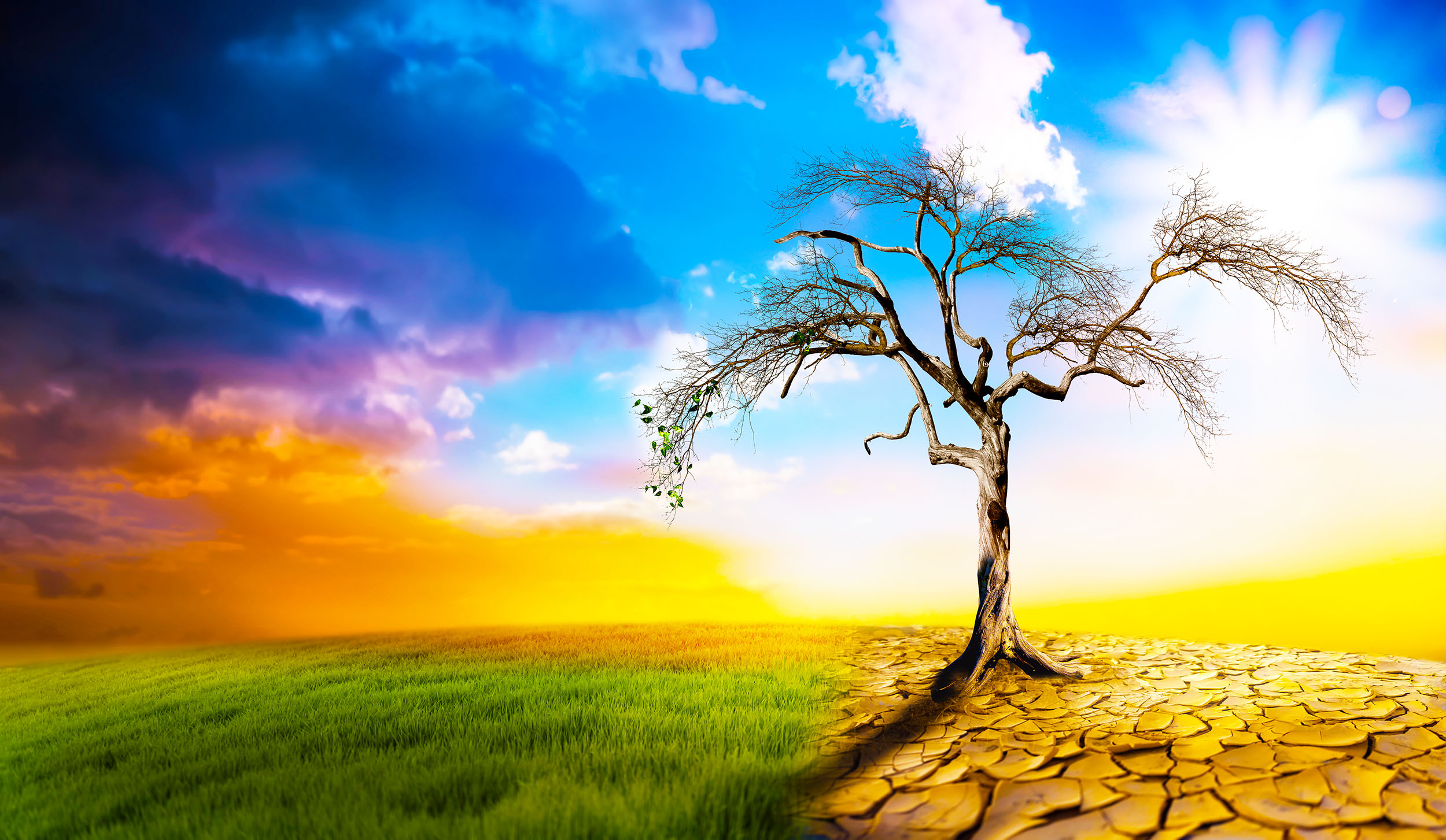 July may be Earth's hottest month in centuries, or even millennia as ...