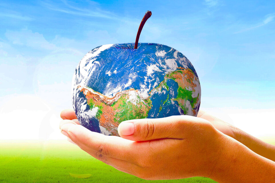 Planet-friendly foods can reduce your risk of mortality by 25 percent • Earth.com