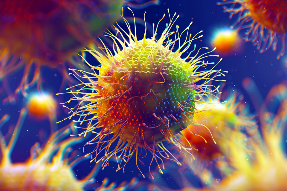 Unearthing Ecological Diversity The Mysterious Giant Viruses Of