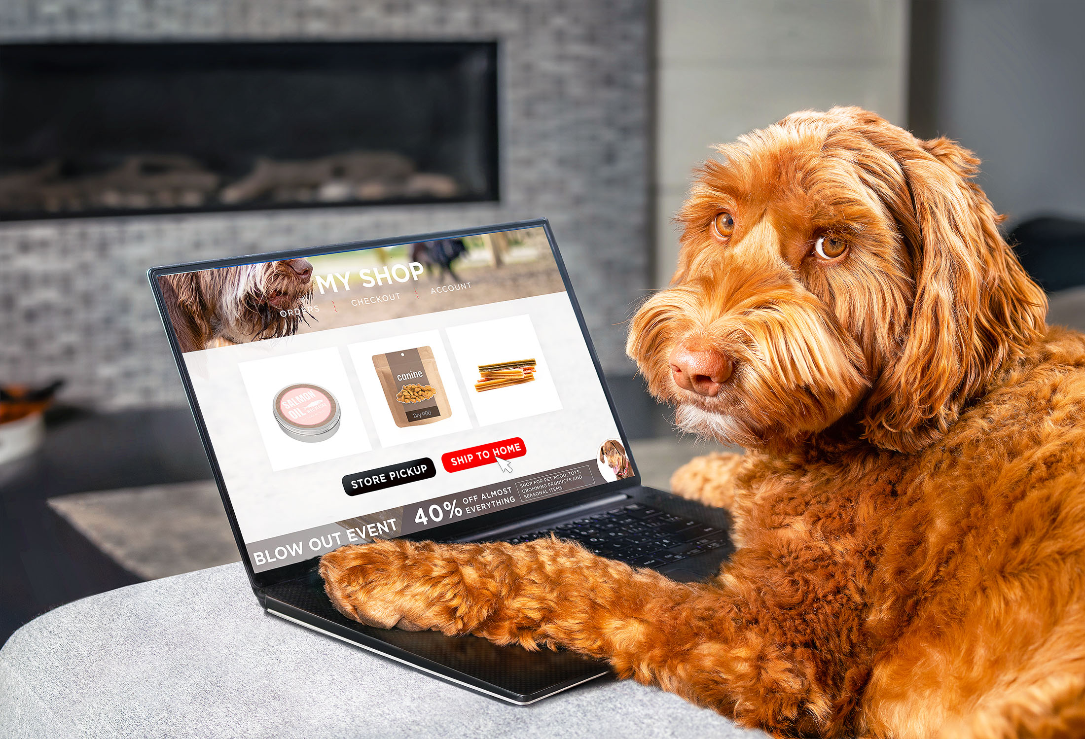 How dogs communicate with us is impacted by their facial markings ...