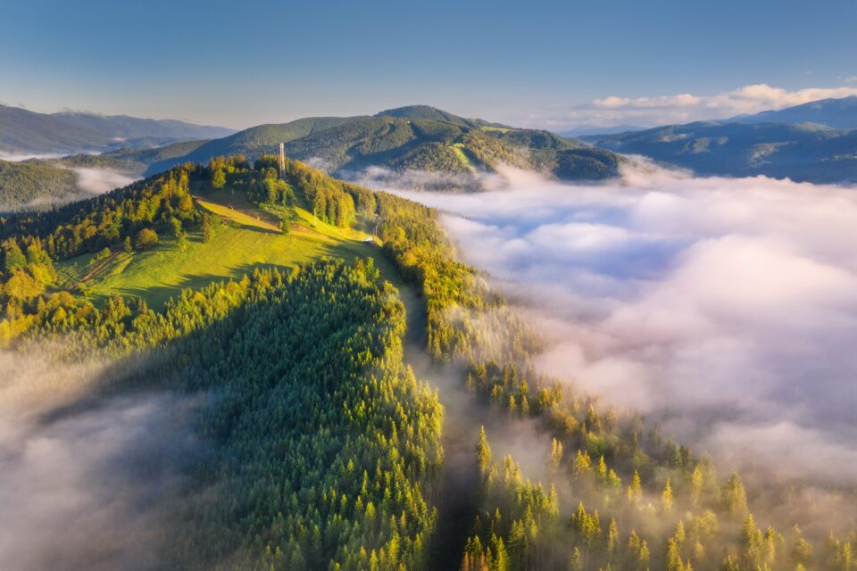 New technology captures fog from the air and turns it into water ...