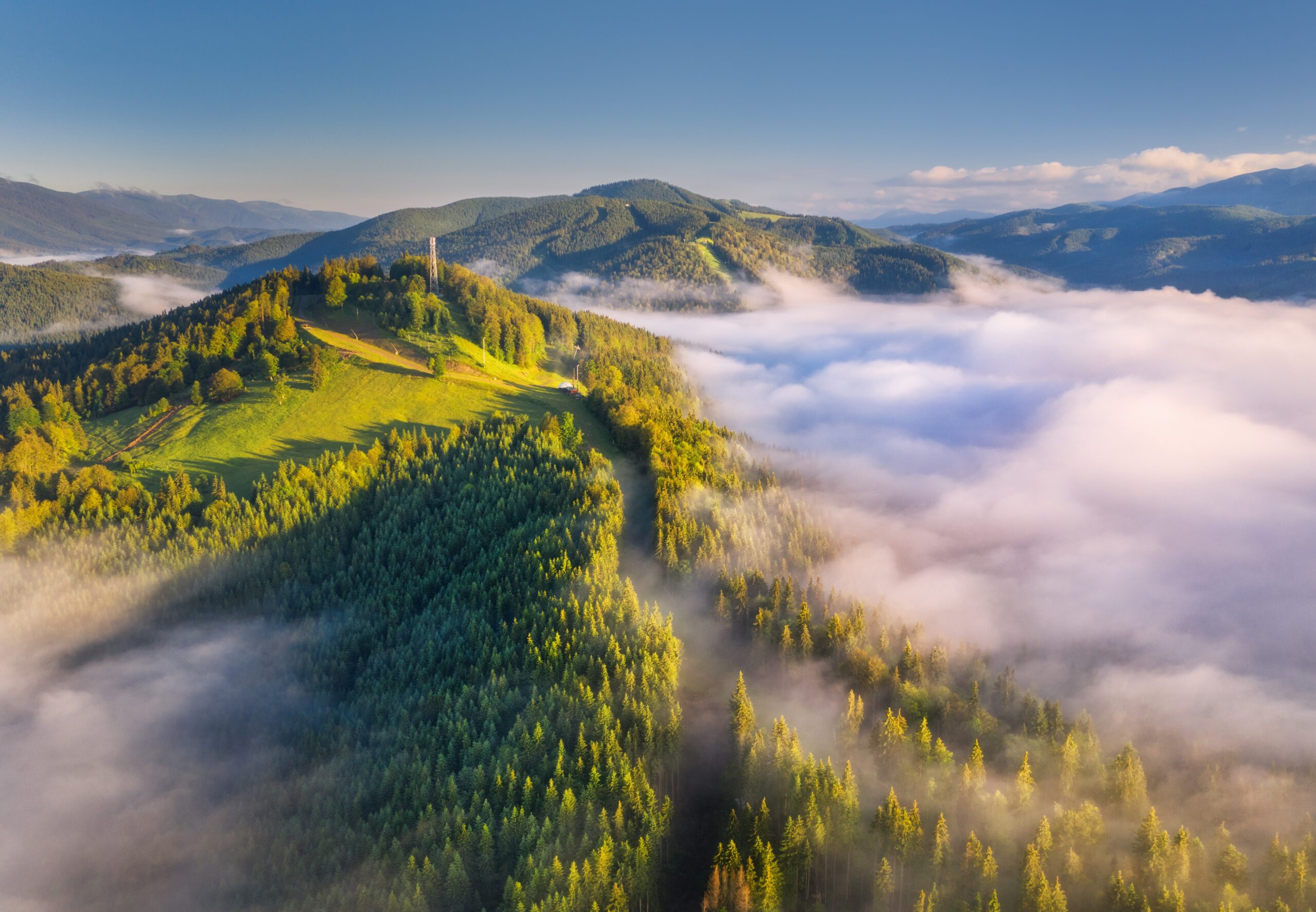 New technology captures fog from the air and turns it into water ...