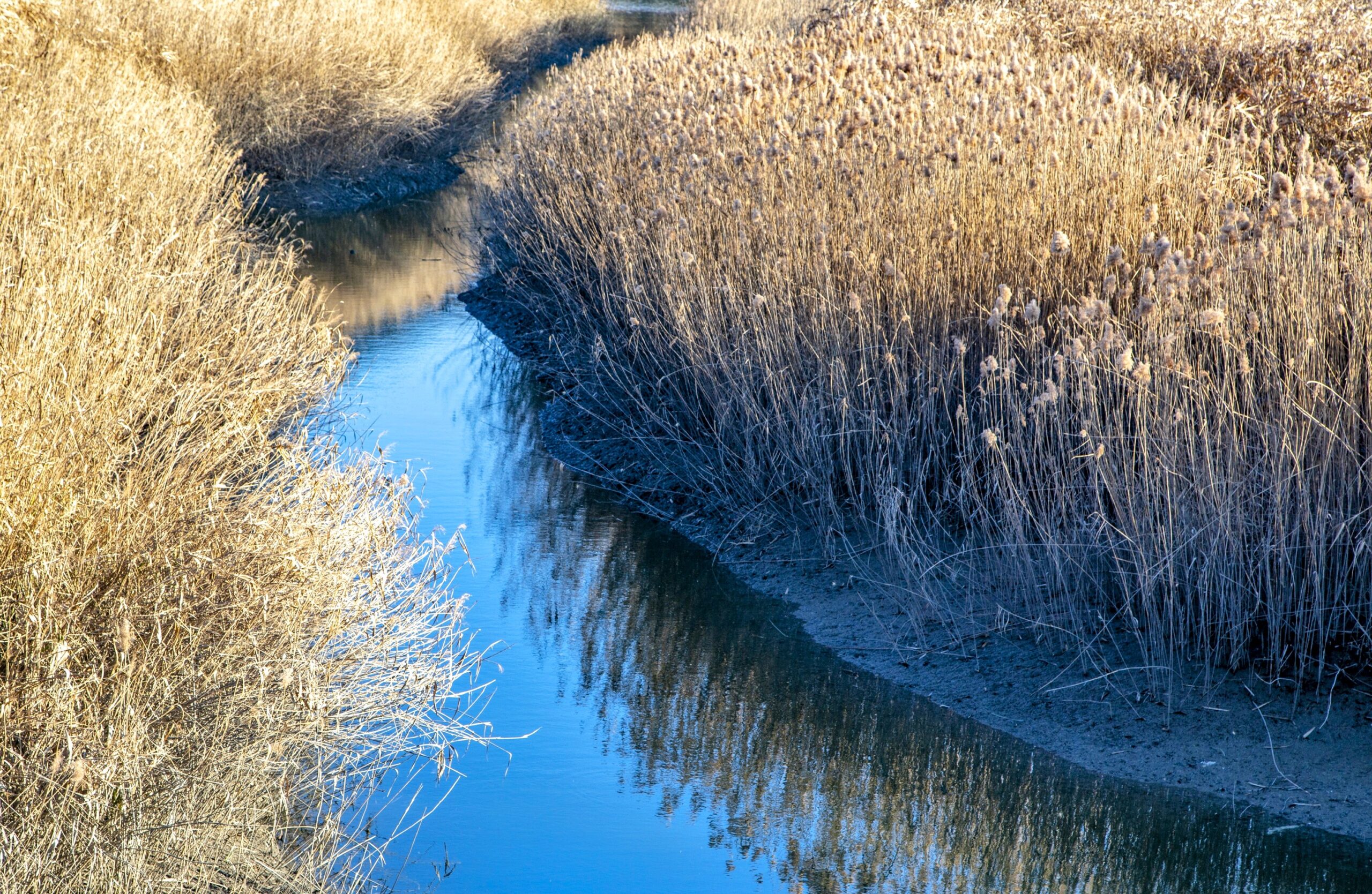 Coastal squeeze: America's tidal flats are threatened by urban ...