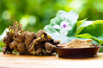 Anti-cancer effects discovered in Kencur ginger that could ...