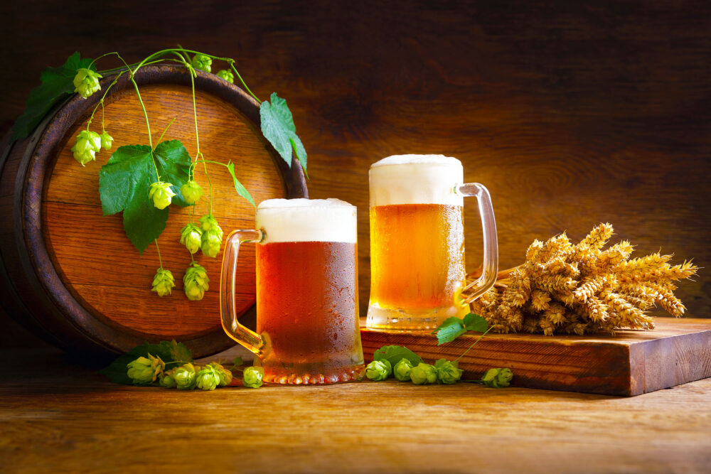 Beer is great for your gut and might be better than probiotics • Earth.com