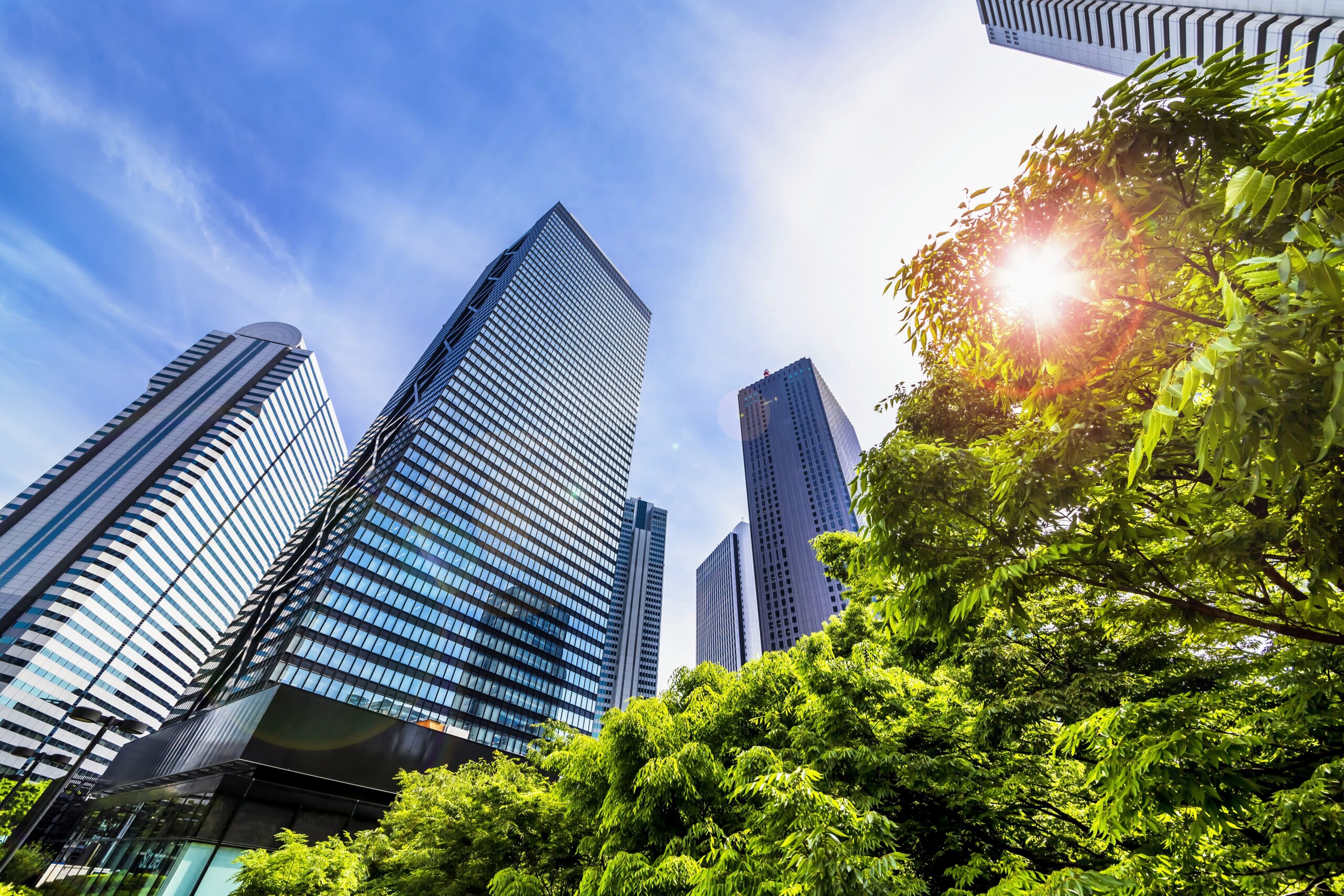 Nature-based solutions: City greening reduces carbon emissions - Earth.com