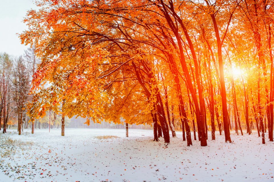 Fall snow levels can help predict a year’s total snowpack • Earth.com