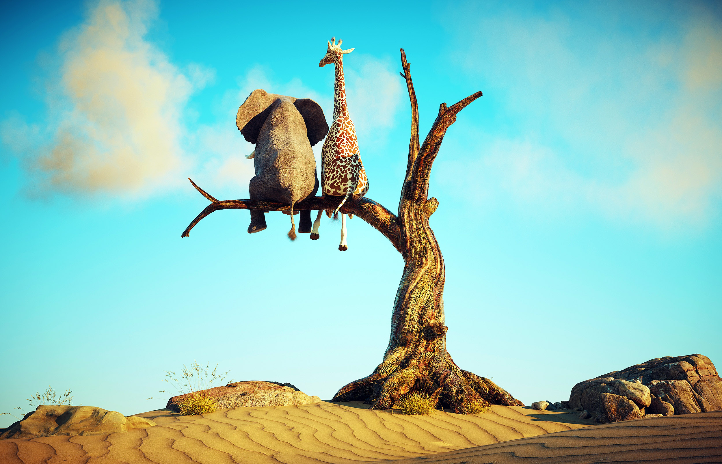 Ig Nobel Prize: Honoring the most ludicrous research studies of the ...