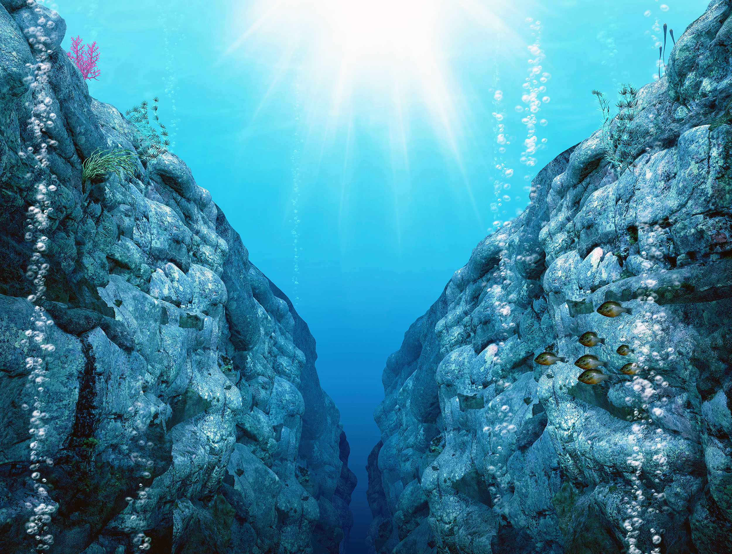 New virus discovered in the deepest part of the ocean - Earth.com