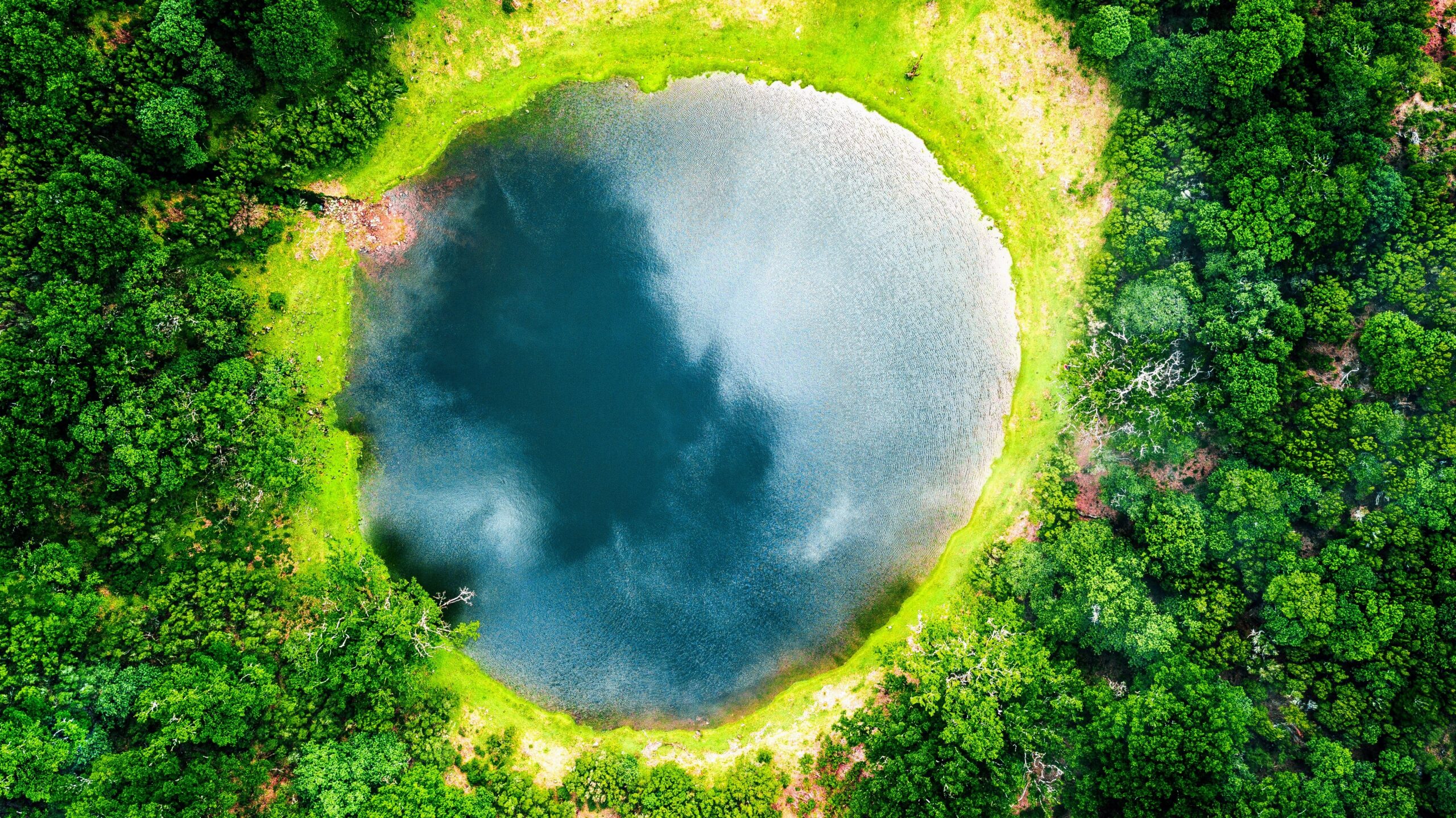 Ponds release more greenhouse gases than they store - Earth.com