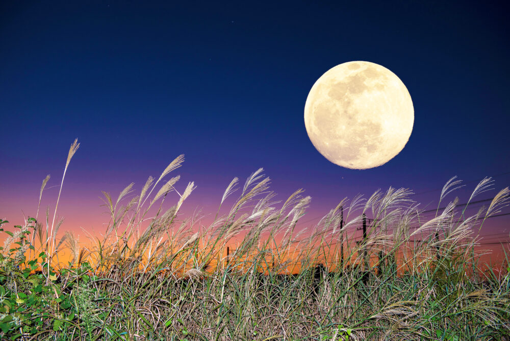 Beautiful "Super Harvest Moon" reaches its peak tonight • Earth.com