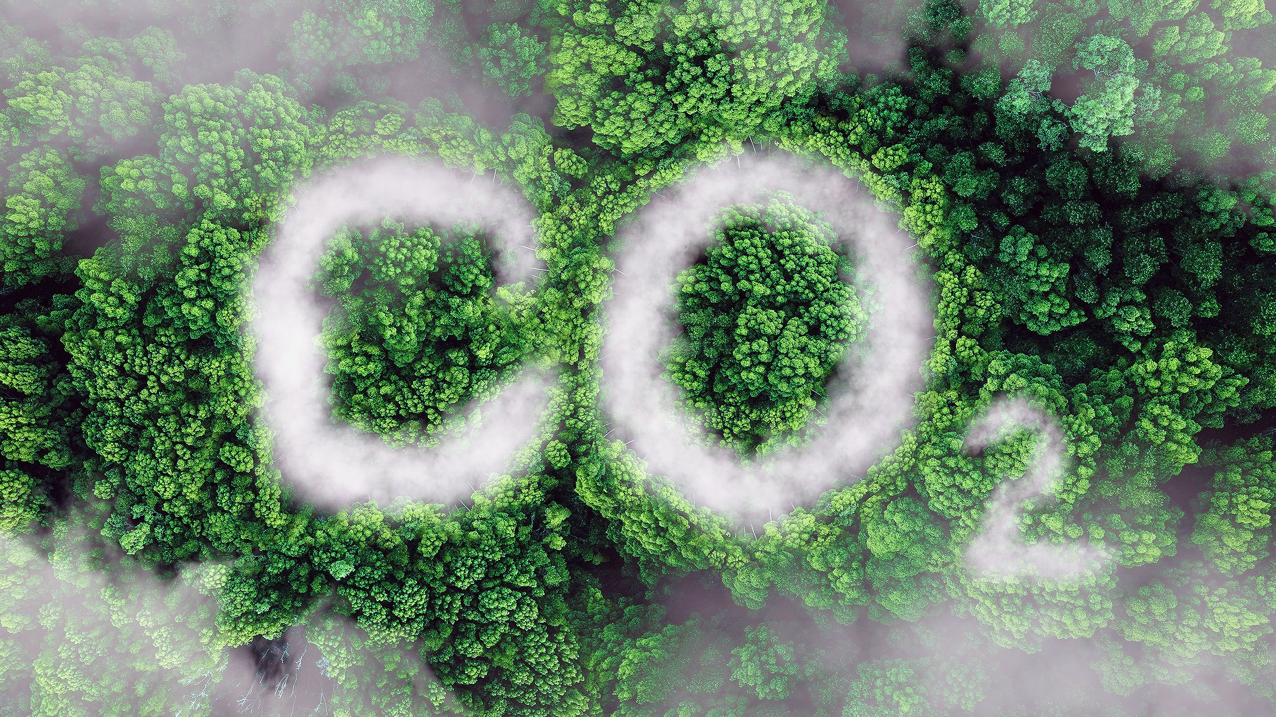New "moisture-swing" carbon capture tech sucks CO2 straight from the ...