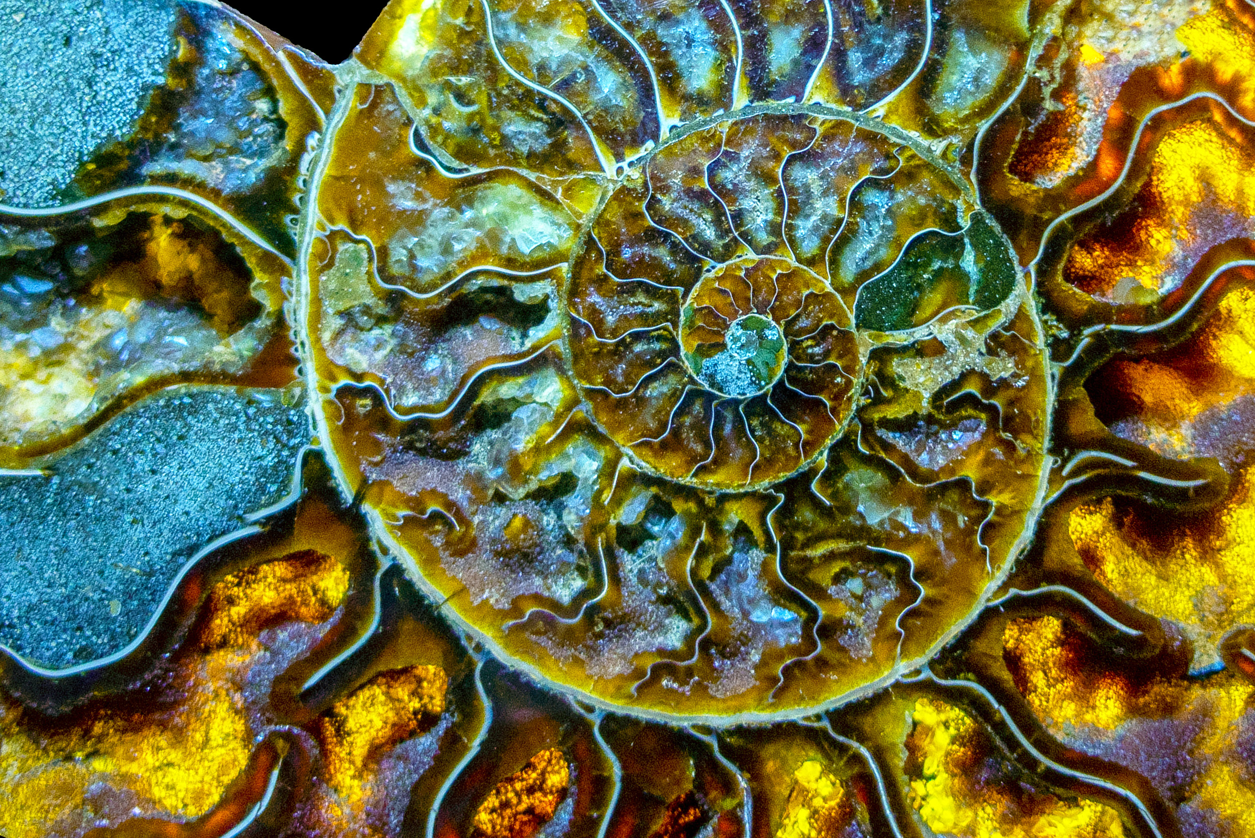 "Missing law of nature" explains the evolution of the universe - Earth.com