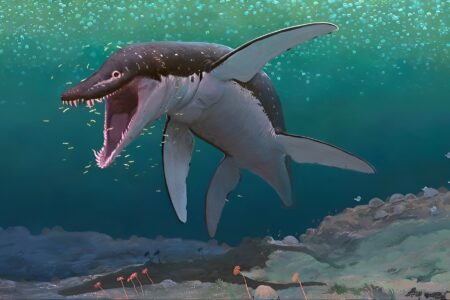 Massive pliosaur gave rise to a dynasty of mega-predators • Earth.com