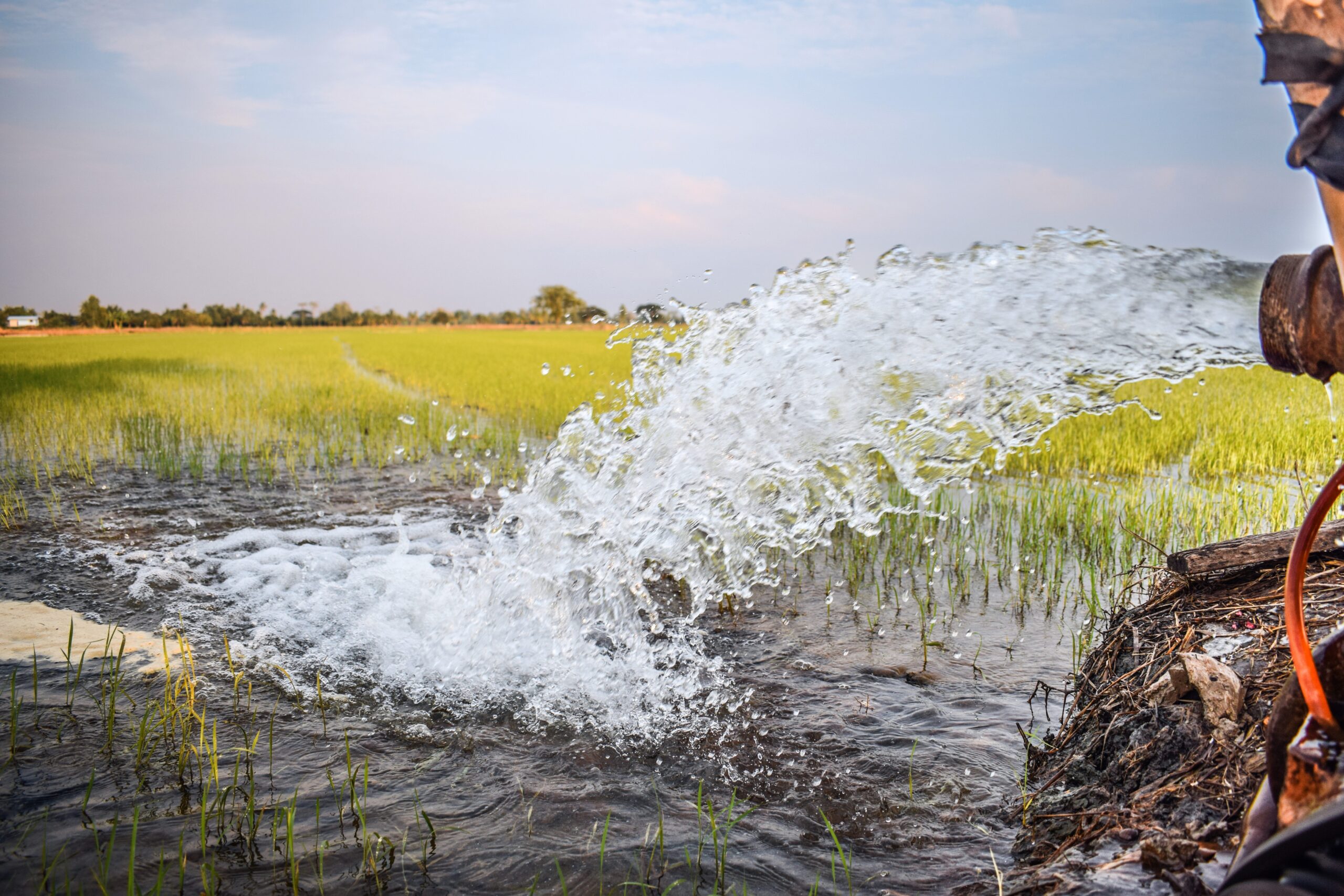 Hidden threats: Groundwater salinity is on the rise - Earth.com