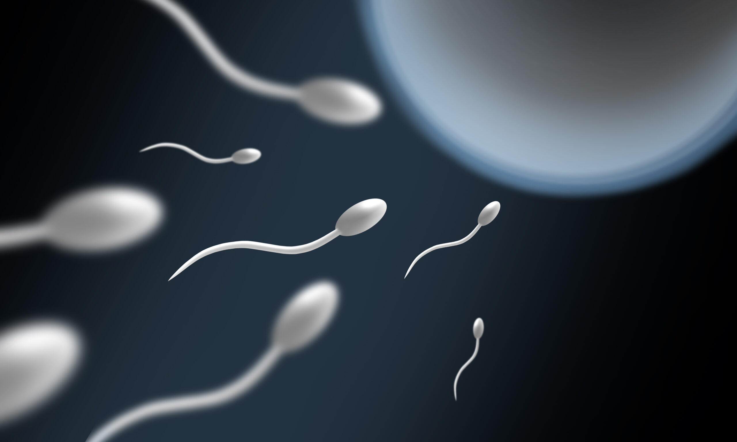 Mysterious sperm structure offers new insights on infertility - Earth.com