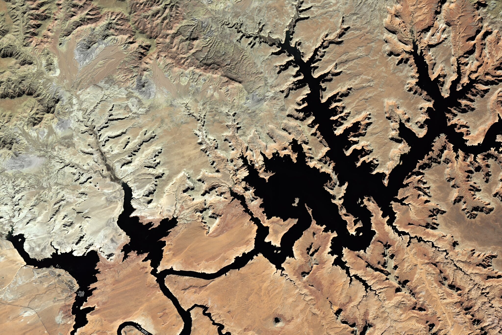 Water levels rebounded in Lake Powell - Earth.com