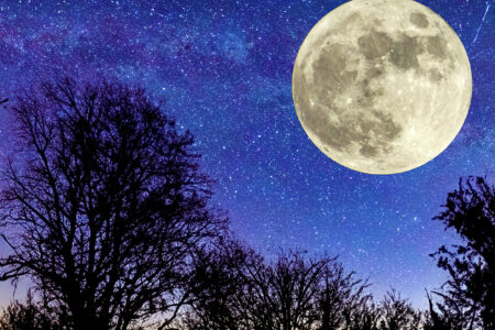 The "Beaver Moon" is coming tonight, here's what you should know ...
