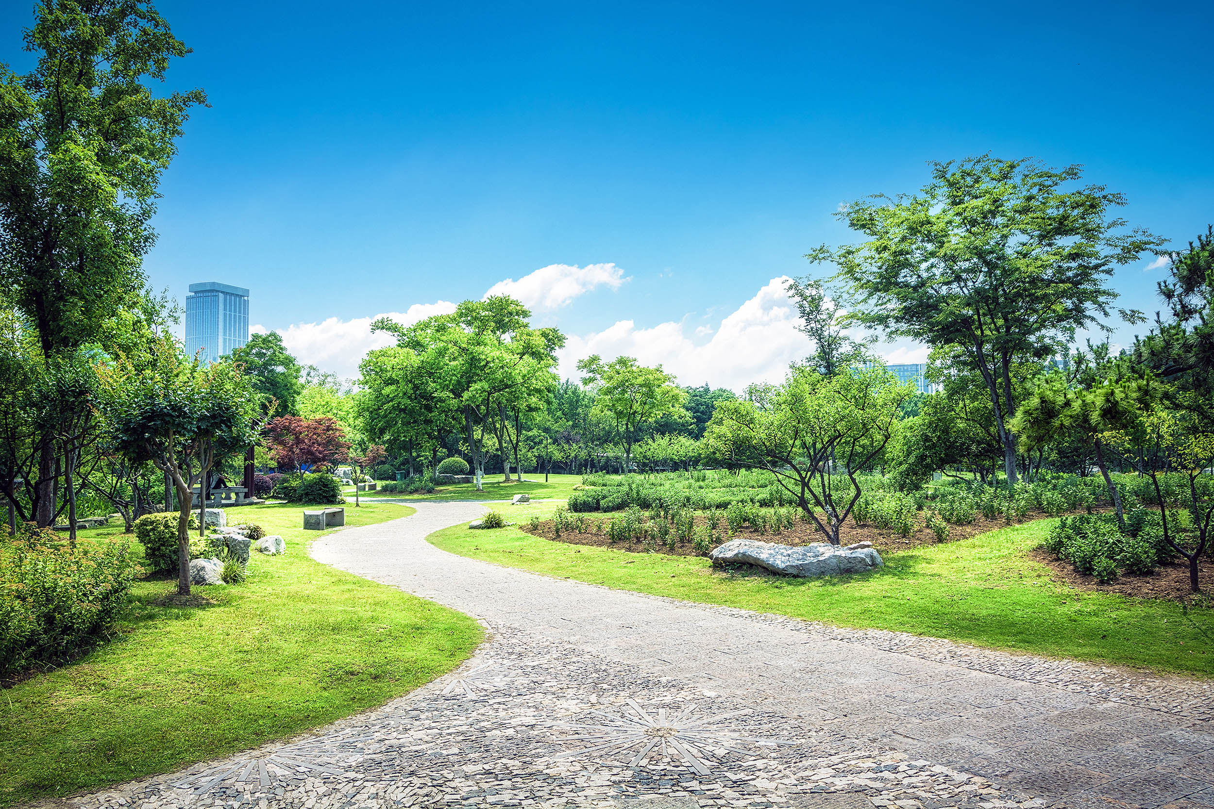 Living in "green" areas acts as an anti-aging fountain-of-youth - Earth.com