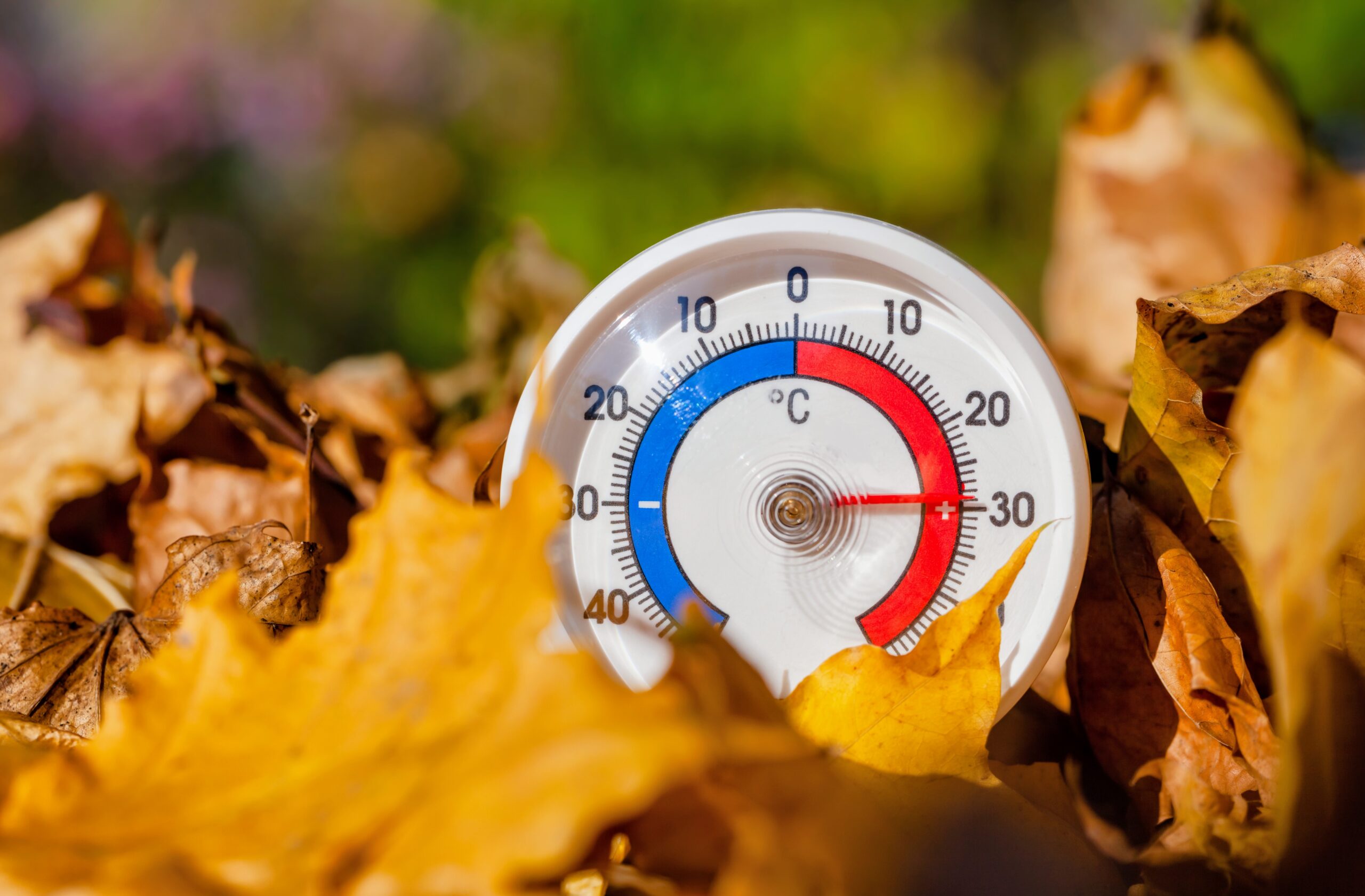 November 2023 sets global record as warmest ever - Earth.com