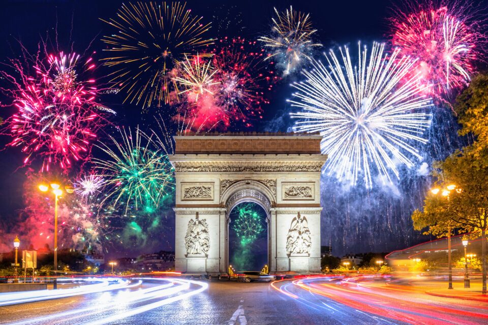 New Year's fireworks cause great distress for millions of birds • Earth.com