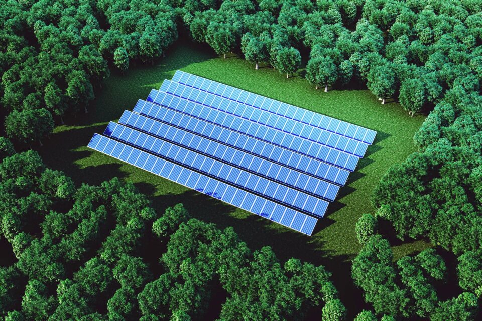 Which is better – planting forests or building solar farms? • Earth.com