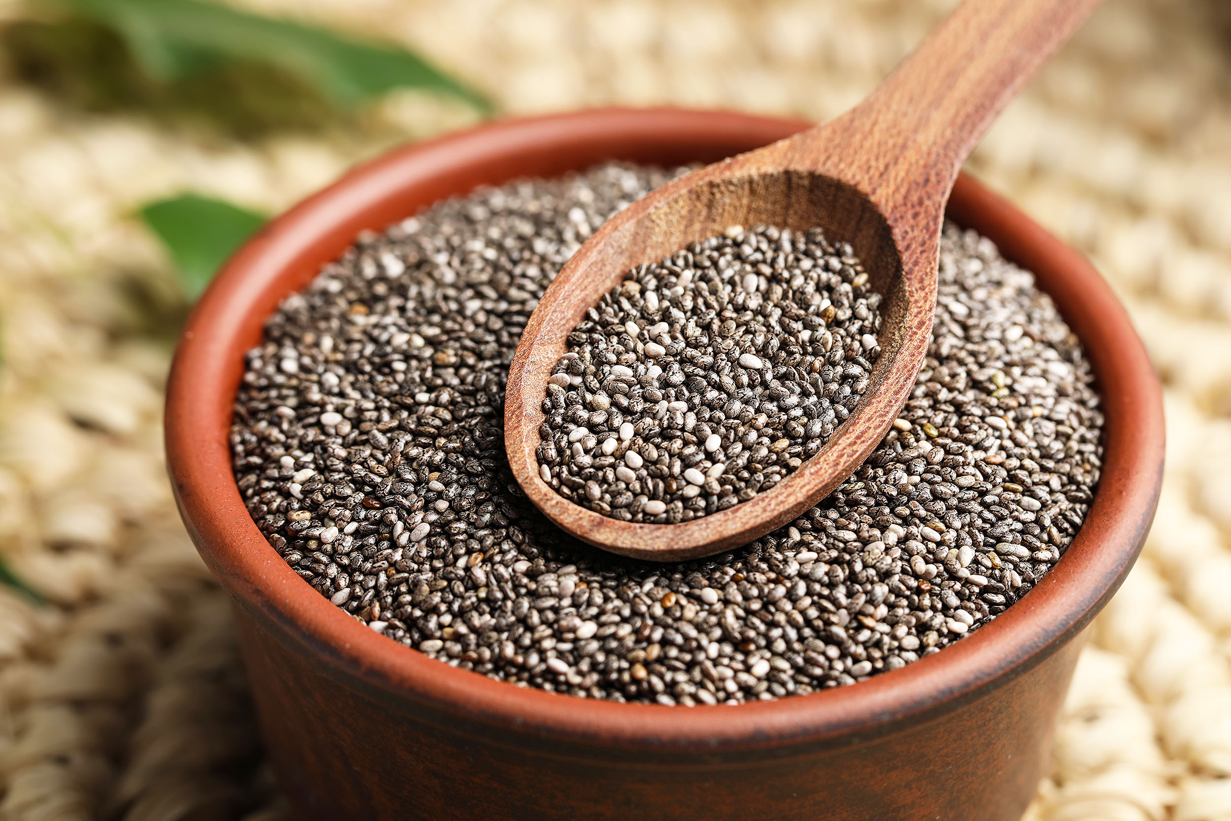 Chia Seeds Have Great Potential To Improve Human Health Earth Chia Seeds Have Great Potential To Improve Human Health Earth