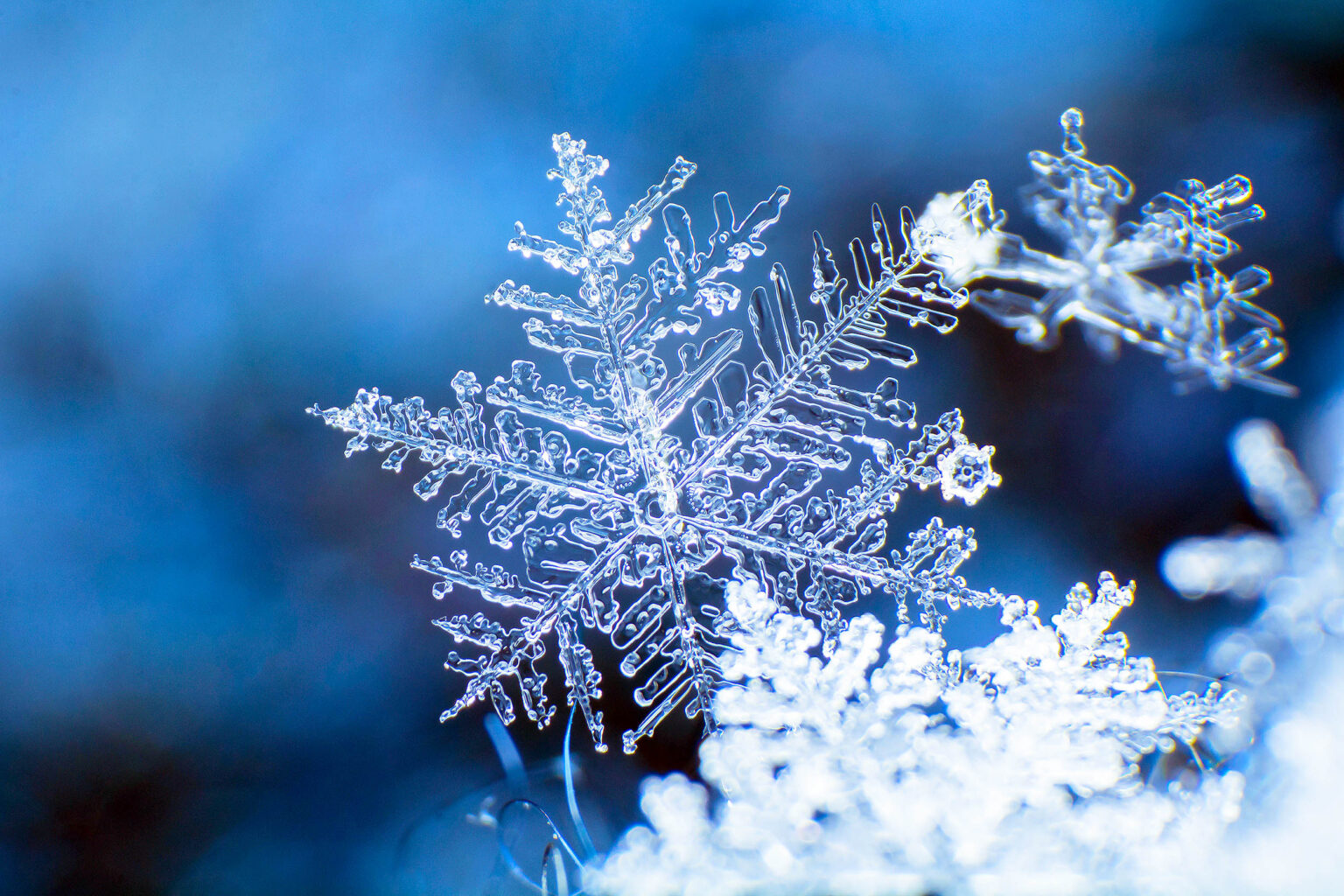 The science of snowflakes and their astonishing magnificence • Earth.com
