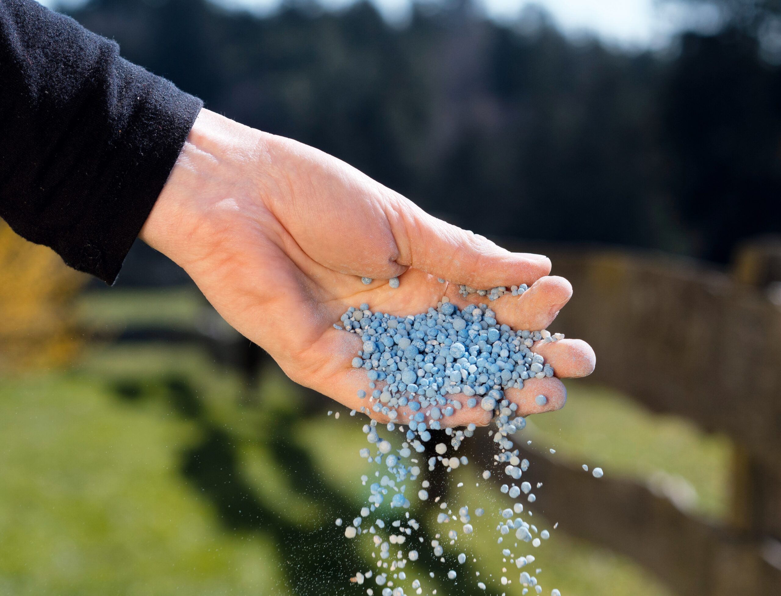 Nitrogen pollution from food production could be reduced by 50% - Earth.com